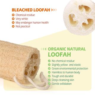 Loofah Promo Codes - RebateKey