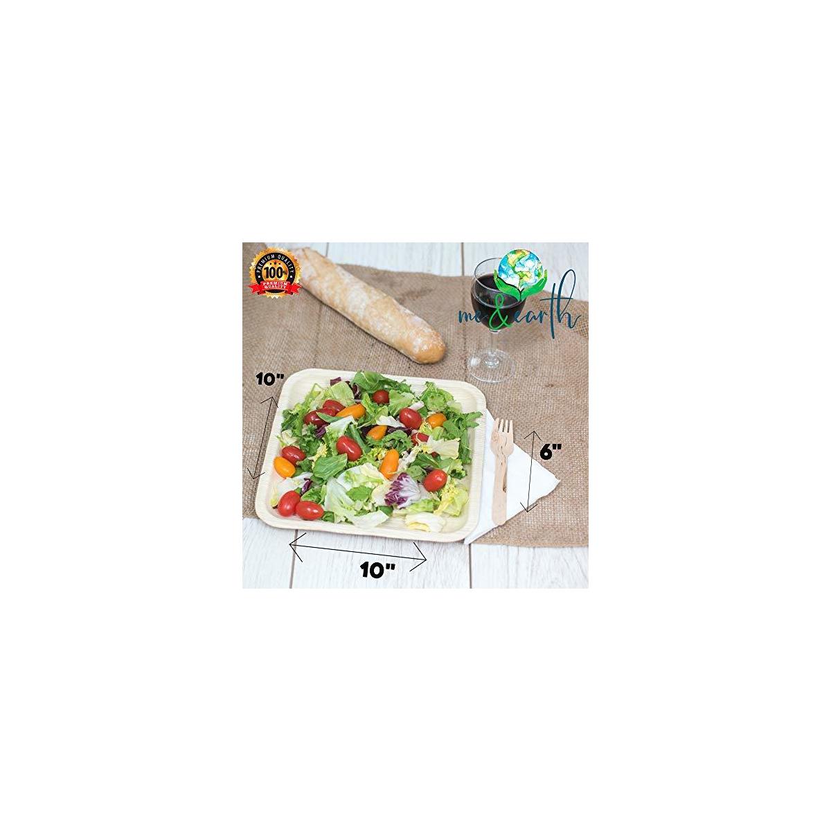 Biodegradable Plates Rebates - RebateKey