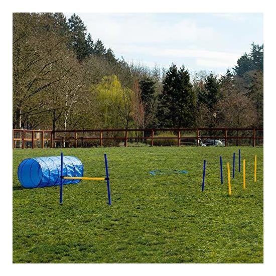 Dog Agility Equipment 29 Piece Obstacle Course With 58 5 Long Dog ...