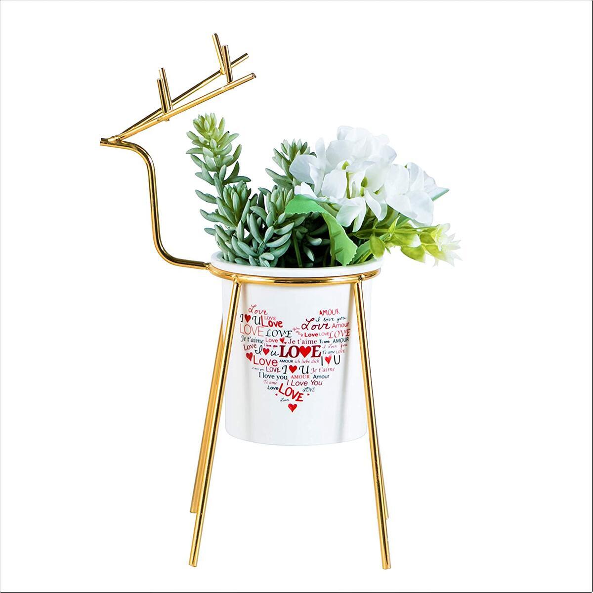 Mini Plant Pot Cash Back - RebateKey